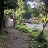 Warburton River Walk, Victoria, Australia - 209 Reviews, Map | AllTrails