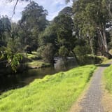 Warburton River Walk, Victoria, Australia - 209 Reviews, Map | AllTrails