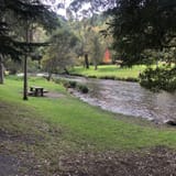 Warburton River Walk, Victoria, Australia - 209 Reviews, Map | AllTrails