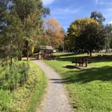 Warburton River Walk, Victoria, Australia - 209 Reviews, Map | AllTrails