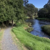 Warburton River Walk, Victoria, Australia - 209 Reviews, Map | AllTrails
