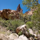Rogers Canyon Trail via Reavis Ranch Trail, Arizona - 317 Reviews, Map ...