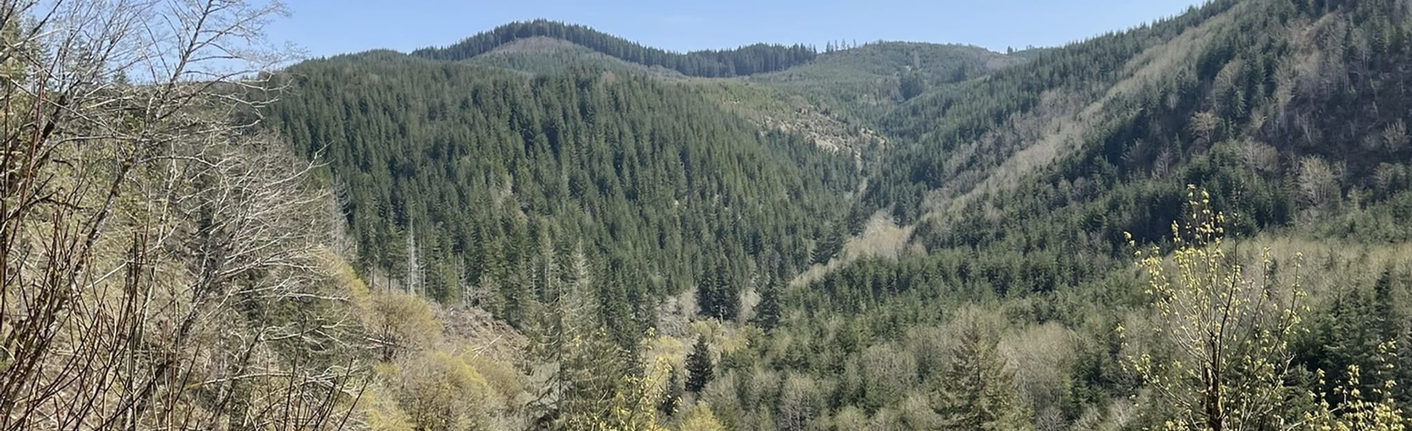 Spruce Run Creek Trail: 44 Reviews, Map - Oregon | AllTrails