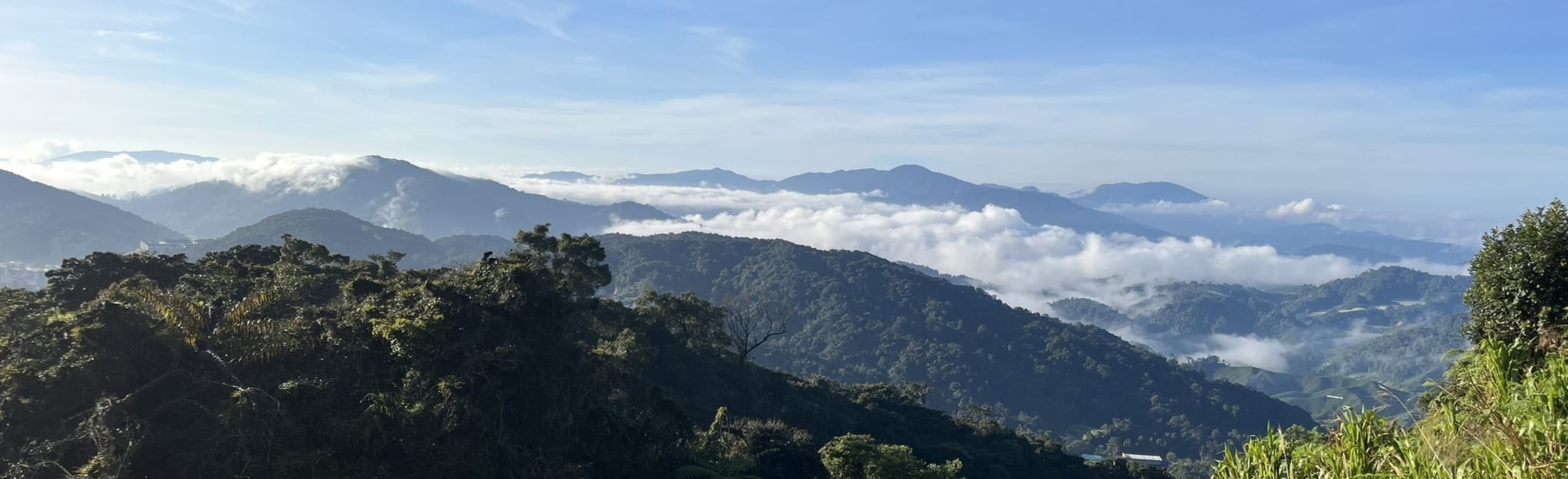 Mount Jasar Alternate Route via Trail 10, Pahang, Malaysia - 26 Reviews ...