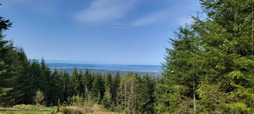 Best Hikes and Trails in Pilchuck Tree Farm | AllTrails