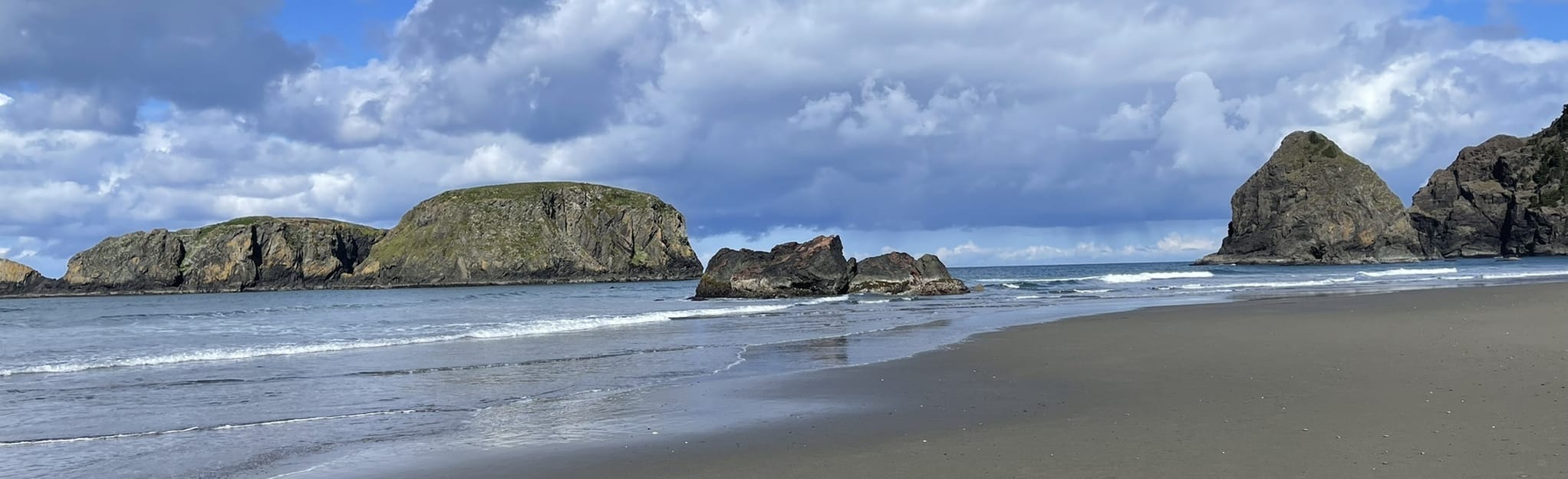 Whale's Head Beach Walk: 149 Reviews, Map - Oregon | AllTrails