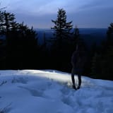 Mount June Trail, Oregon - 220 Reviews, Map | AllTrails