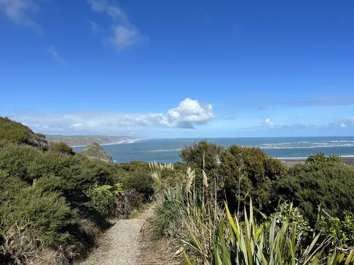 10 Best Camping Trails in Waitakere Ranges Regional Park | AllTrails