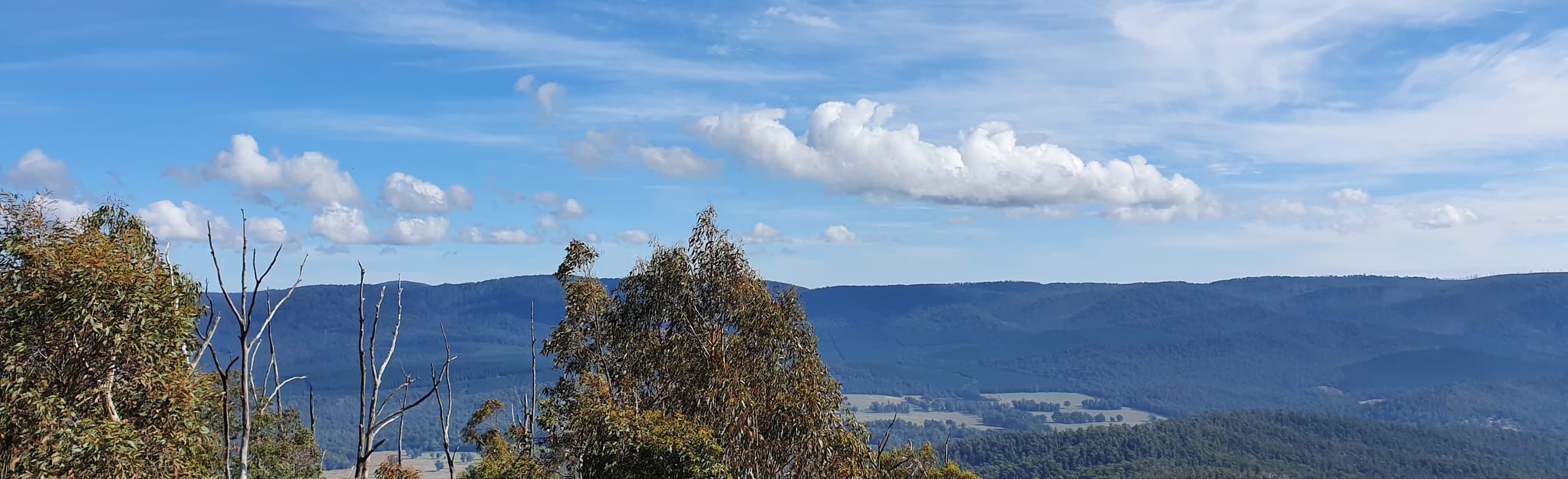 Mount Gordon and Woods Lookout Circuit, Victoria, Australia - 32 ...