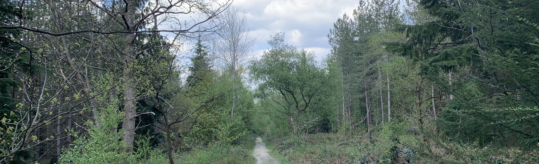 Hosey Common and Tower Wood Circular - Kent, England | AllTrails