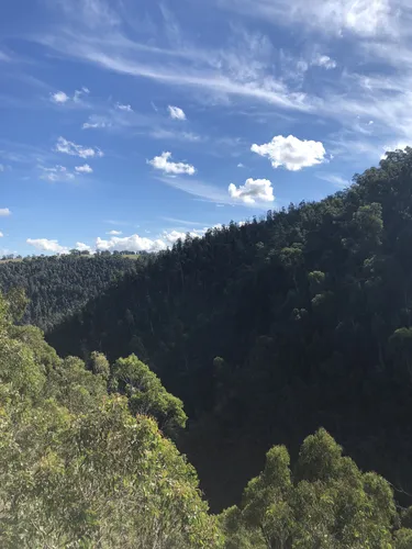 Best Waterfall Trails in Kinglake National Park | AllTrails