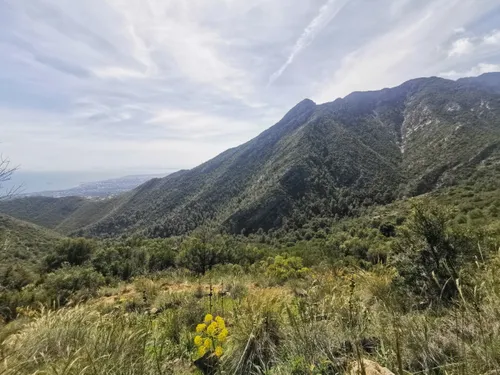 10 Best Trails and Hikes in Marbella | AllTrails
