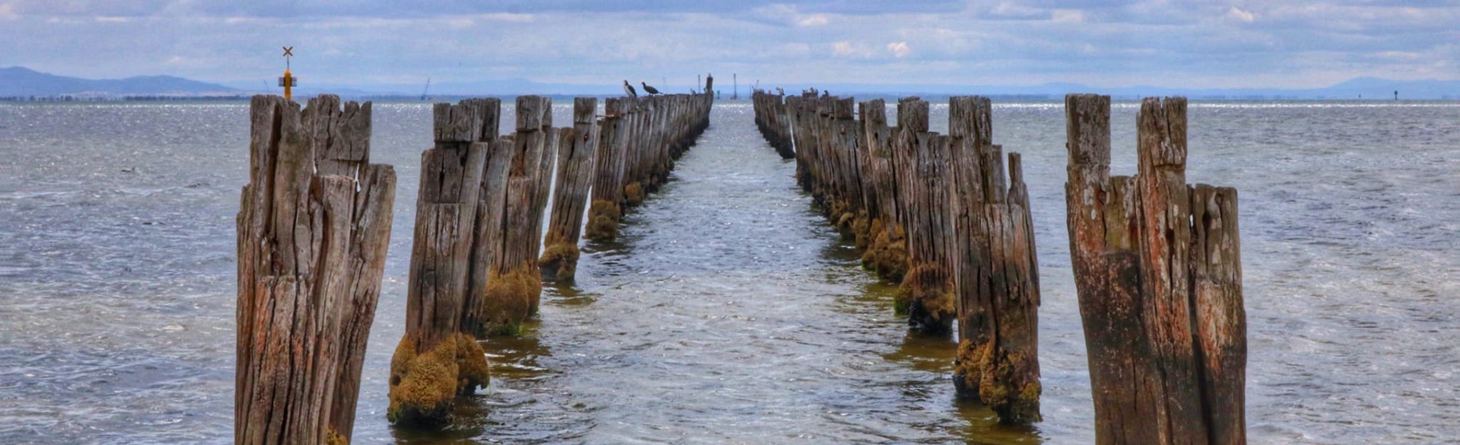 Clifton Springs Foreshore Reserve Loop and Breakwall: 3 Reviews, Map ...