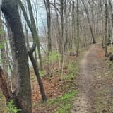 Geode State Park, Iowa - 234 Reviews, Map | AllTrails