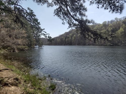 Best Hikes and Trails in Greenbo Lake State Resort Park | AllTrails