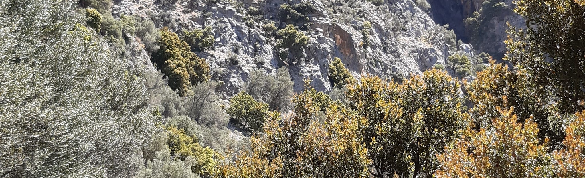 Platania Gorge Loop: 10 Reviews, Map - Crete, Greece | AllTrails