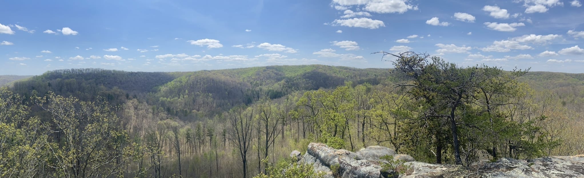 Pretty House Arch Trail: 30 Reviews, Map - Kentucky | AllTrails