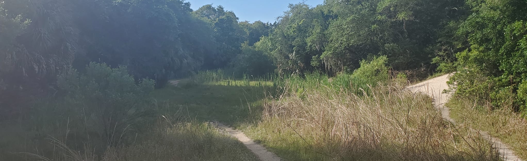 Spanish Quarry, 42 Photos - Florida | AllTrails