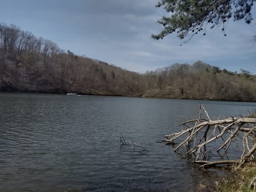 Best Hikes and Trails in Greenbo Lake State Resort Park | AllTrails
