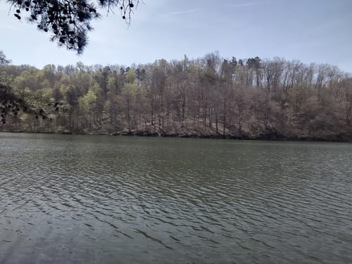 Best Hikes and Trails in Greenbo Lake State Resort Park | AllTrails