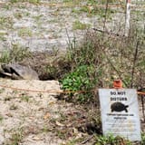 Guana Trail, Marshview Lane, and Shellbluff Road, Florida - 233 Reviews ...