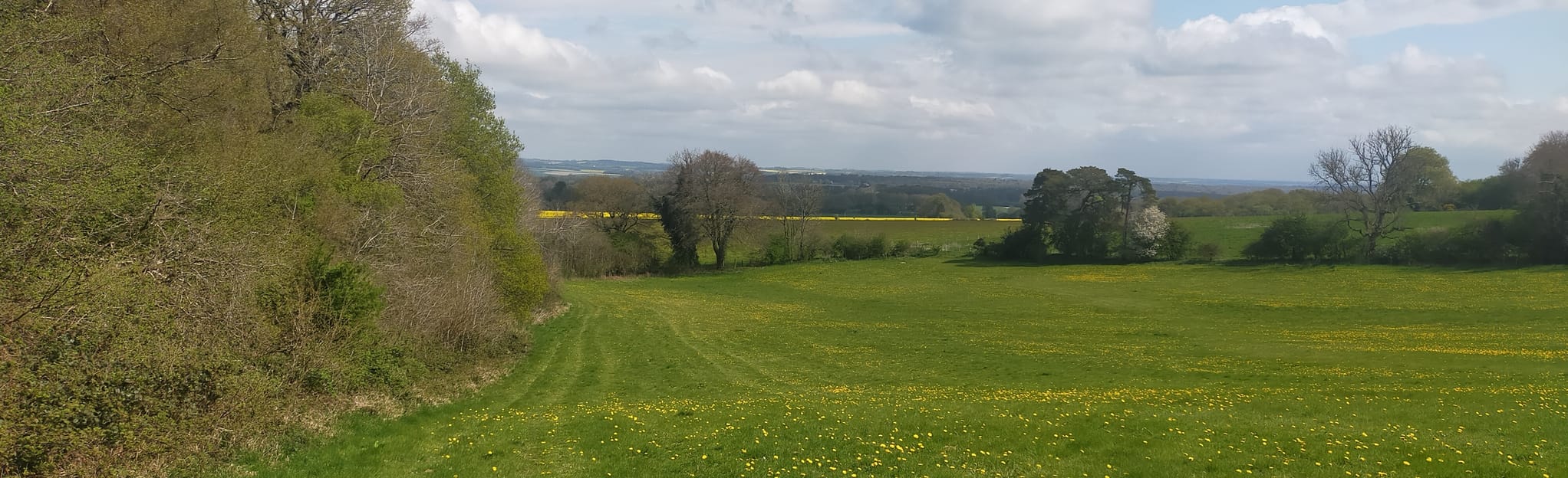 West Woods and Wansdyke Path Circular, Wiltshire, England - 5 Reviews ...