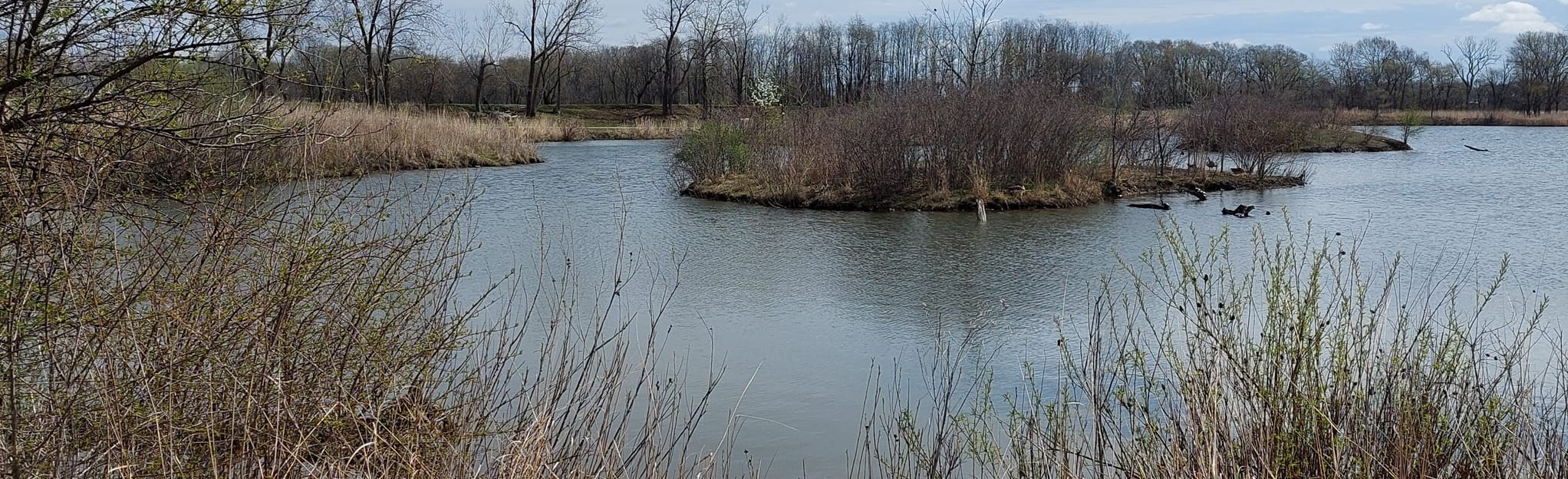 Rock Run Preserve Loop: 247 Reviews, Map - Illinois | AllTrails