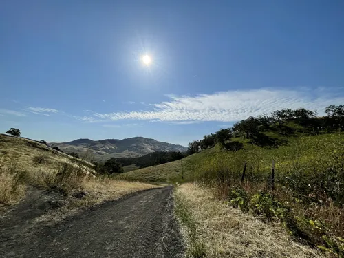 10 Best Hikes and Trails in Shell Ridge Open Space | AllTrails