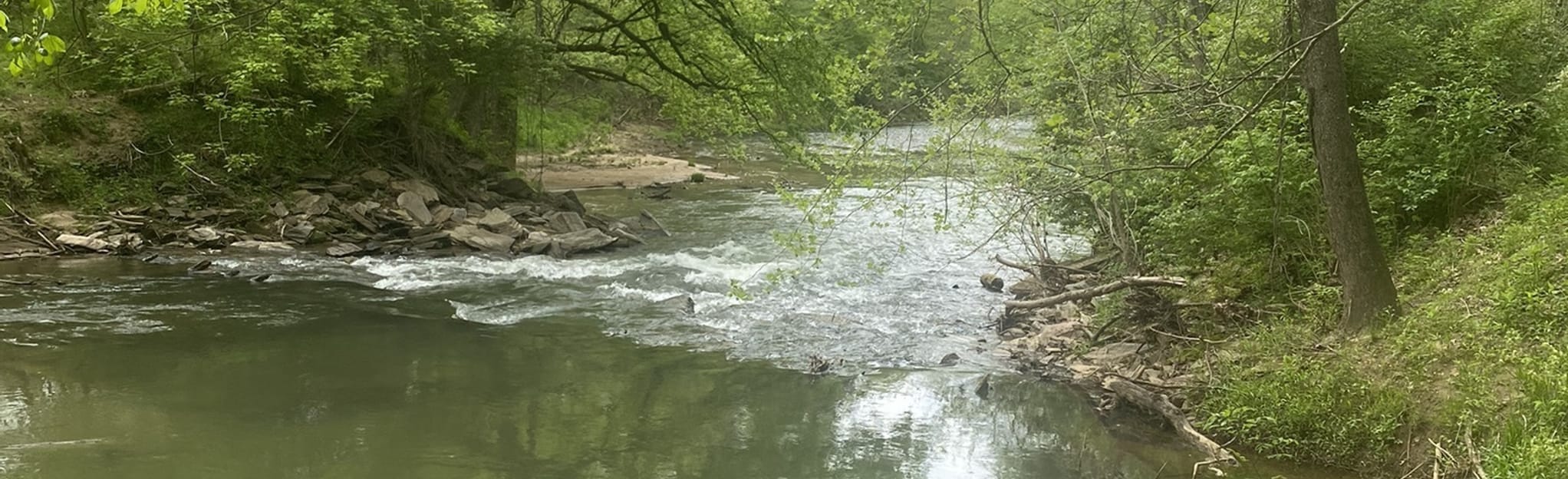 Roberts Lake Trail, Georgia - 171 Reviews, Map | AllTrails