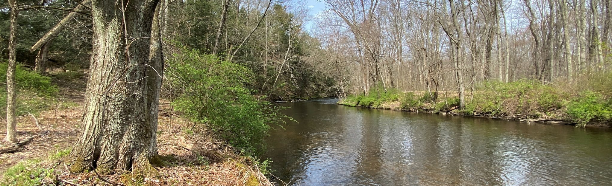 Scantic River and Bailey Road Loop, Connecticut - 63 Reviews, Map ...