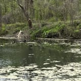 Avalon Loop Trail, Maryland - 232 Reviews, Map | AllTrails