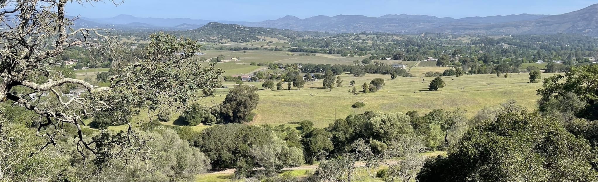 Skyline Trail Loop via Buckeye Trail, California - 381 Reviews, Map ...