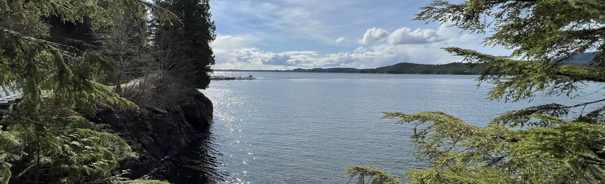 Rushbrook Trail: 88 Reviews, Map - British Columbia, Canada | AllTrails