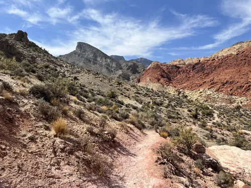 10 Best Hikes and Trails in Red Rock Canyon National Conservation Area ...