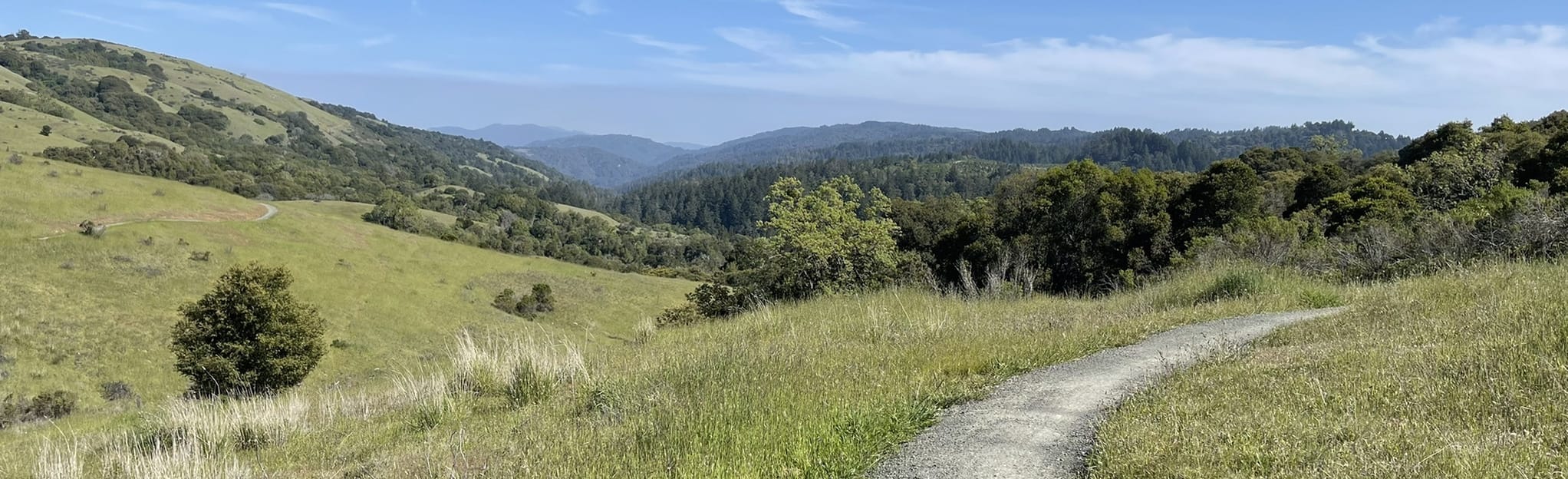 Stevens Creek Nature Trail to White Oak Trail Loop: 400 Reviews, Map ...