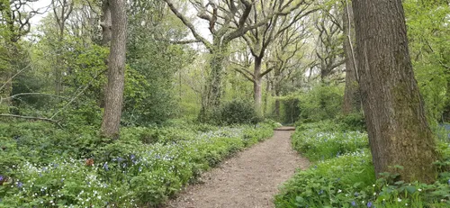 Best Hikes and Trails in Selsdon Wood Nature Reserve | AllTrails
