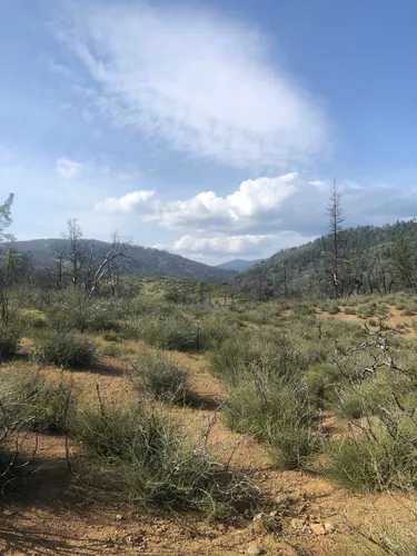 Best Hikes and Trails in Mendocino National Forest | AllTrails