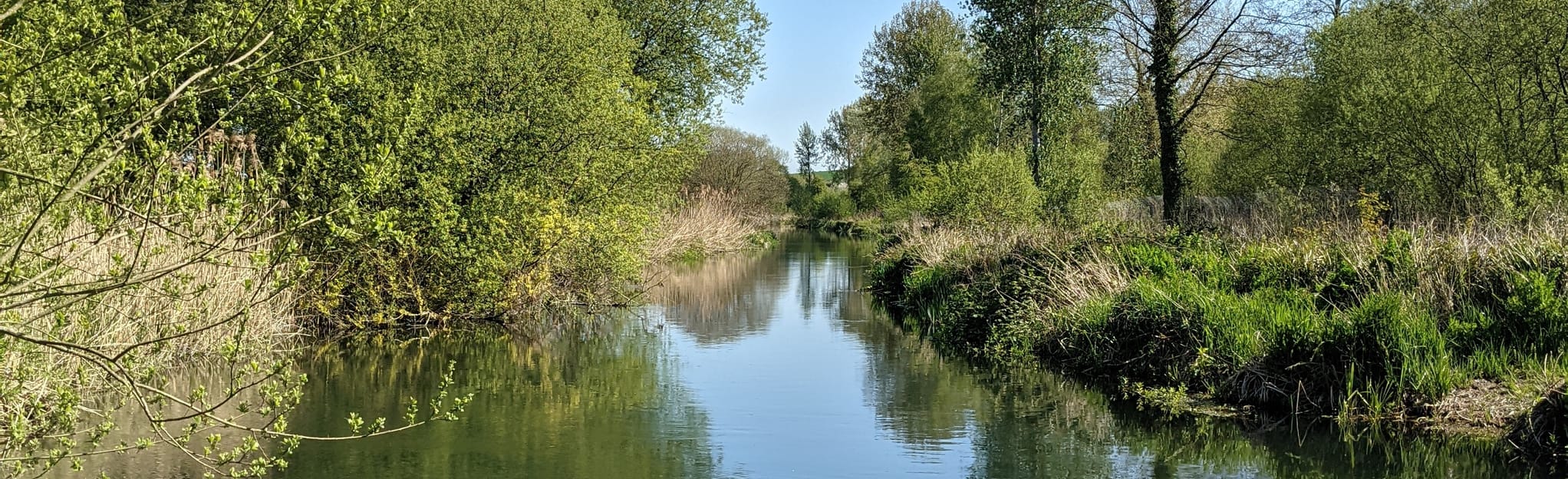 Itchen Way: Hockley to Winchester Circular: 51 Reviews, Map - Hampshire ...