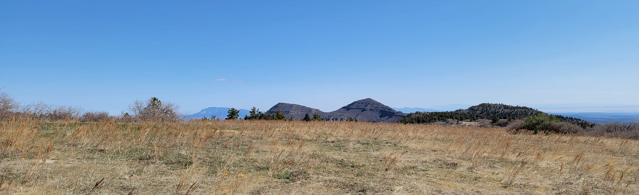 Bosque Peak, New Mexico - 25 Reviews, Map | AllTrails