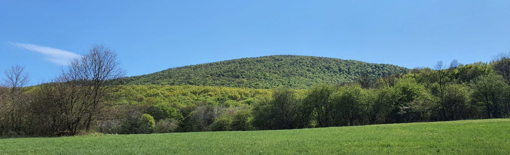 Kosd - Mount Naszály - Ősagárd: 0 Reviews, Map - Pest, Hungary | AllTrails