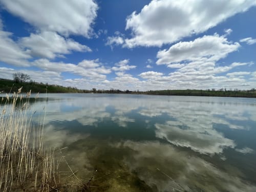 Best Hikes and Trails in Grunwald Farms Forest Preserve | AllTrails