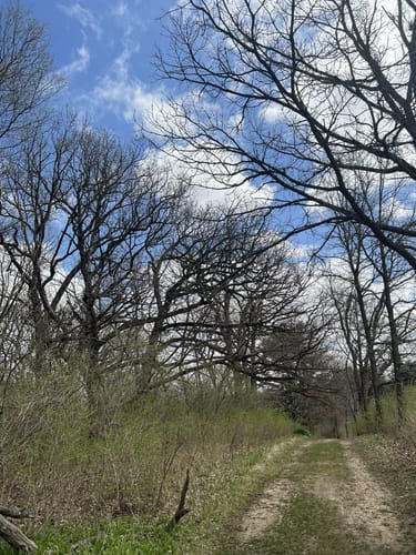 Best Hikes and Trails in Grunwald Farms Forest Preserve | AllTrails