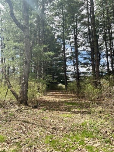 Best Hikes and Trails in Grunwald Farms Forest Preserve | AllTrails