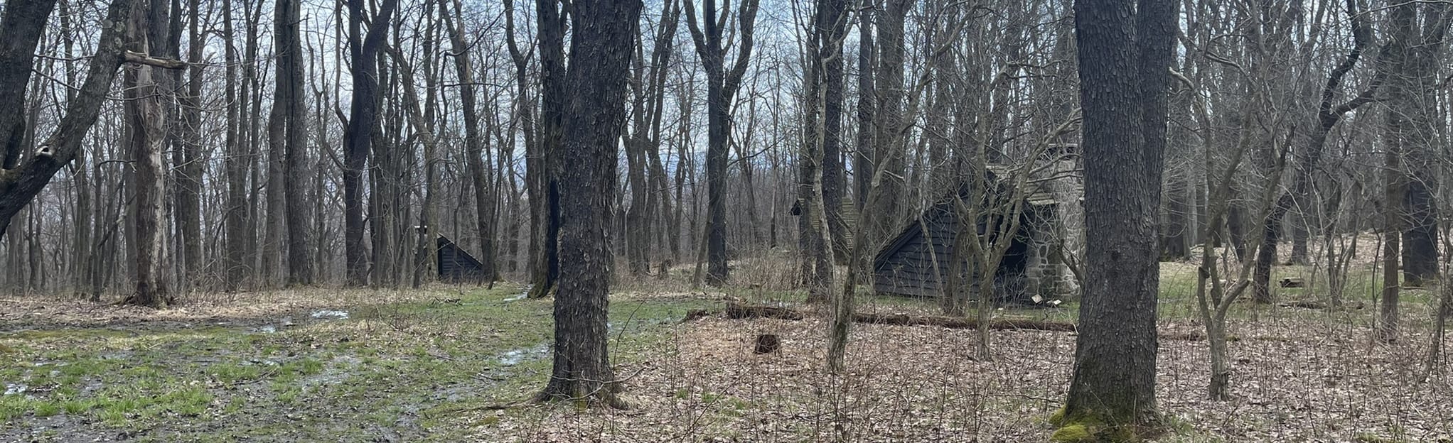 AllTrails | Laurel Ridge Shelter Trail: 49 Reviews, Map - Pennsylvania