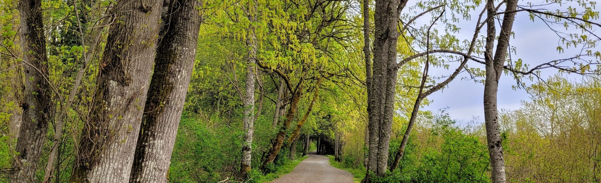 AllTrails | Lochside Regional Trail: Cordova Bay Road - Dooley Road: 54 ...