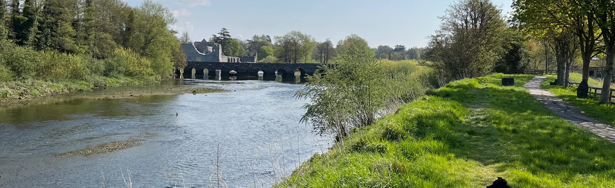 Adare River Walk, 34 Fotos - County Limerick, Ireland | AllTrails