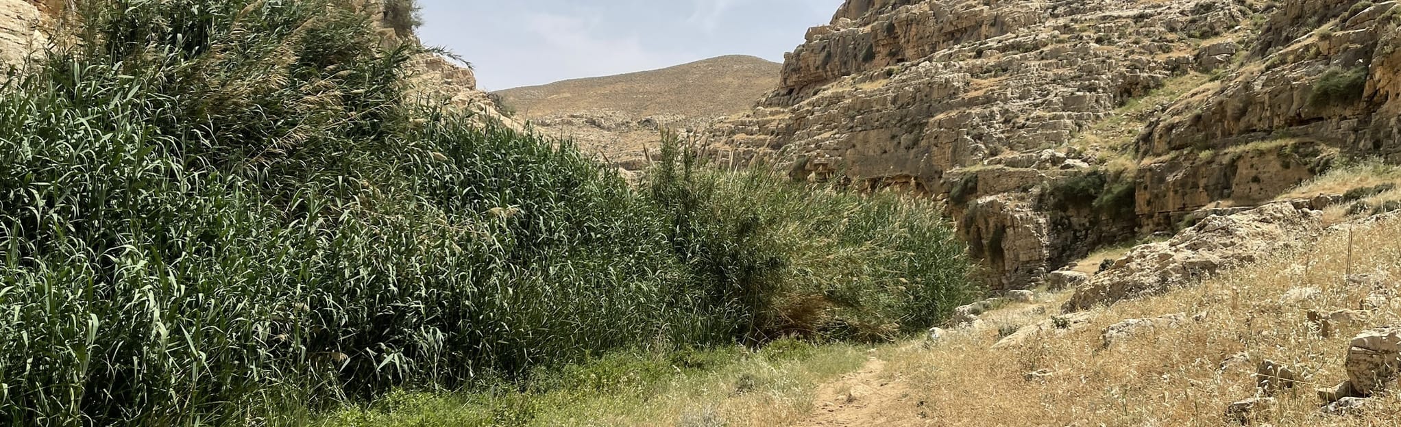 Ein Fawar and Nahal Prat: 86 foto's - Jerusalem, Israël | AllTrails