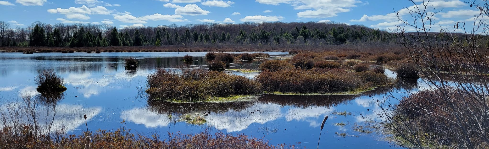 Bog Trail, Hay Road Trail, Indian Trail, Moss Hanne Trail Loop: 185 ...