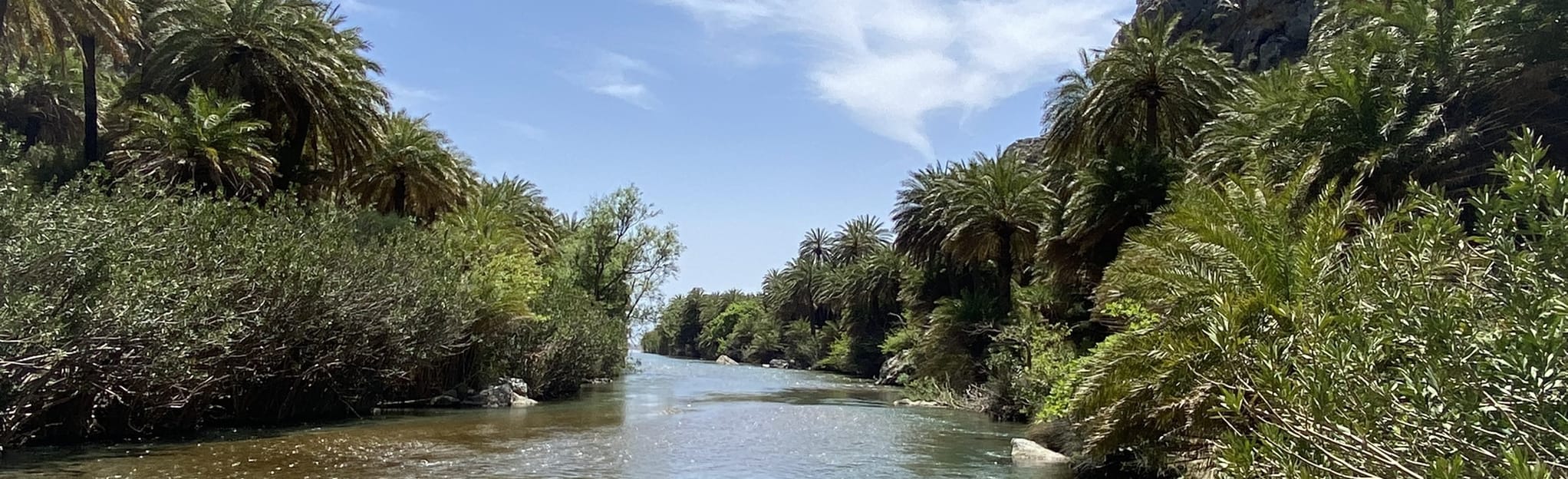 Preveli Palm Forest: 9 Reviews, Map - Crete, Greece | AllTrails