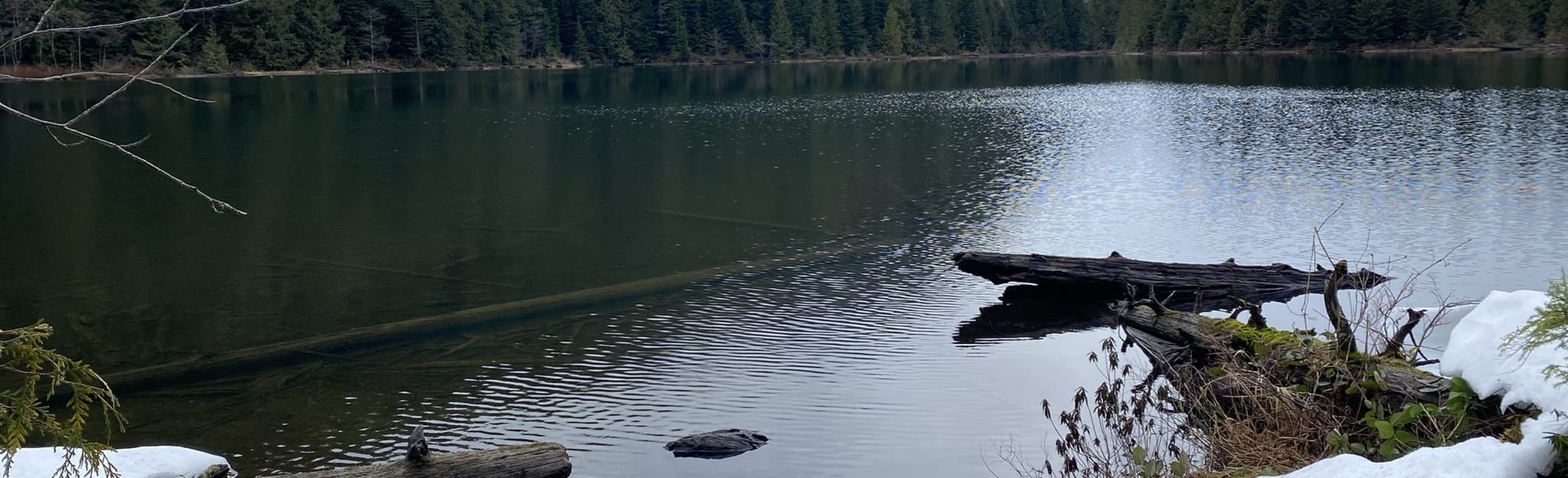 Saddle Lake Trail, British Columbia, Canada - 2 Reviews, Map | AllTrails